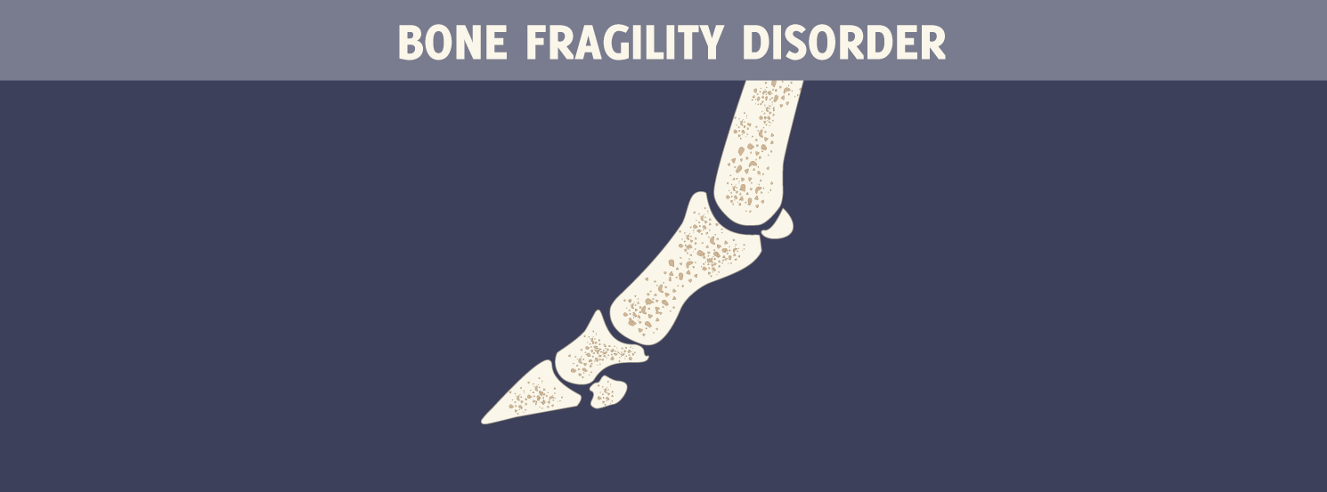 Bone Fragility Disorder (BFD) | HorseDVM Diseases A-Z