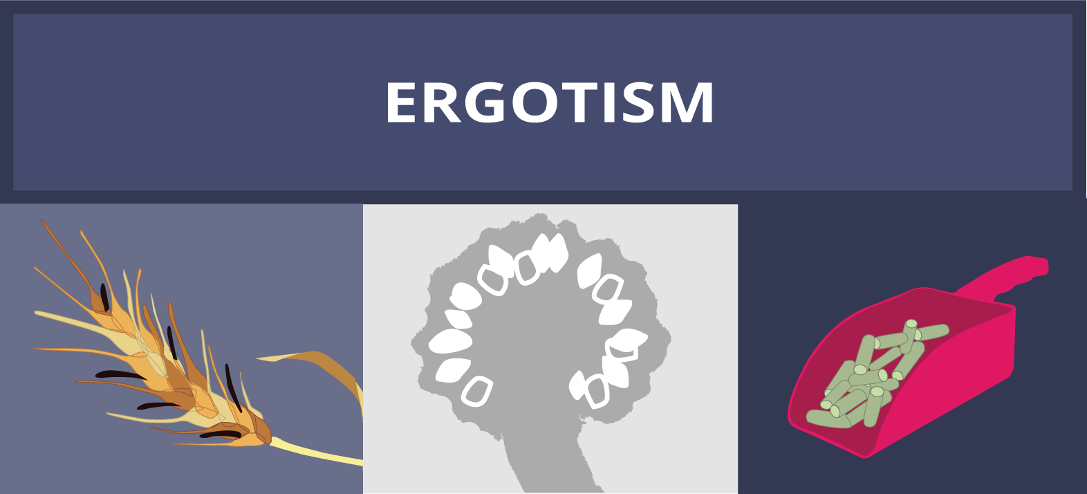 Ergotism | HorseDVM Diseases A-Z
