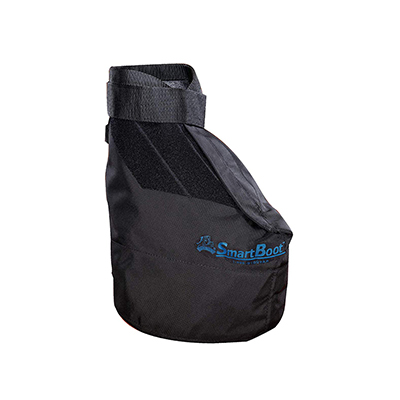 Hoof Wall Abscess | HorseDVM Diseases A-Z